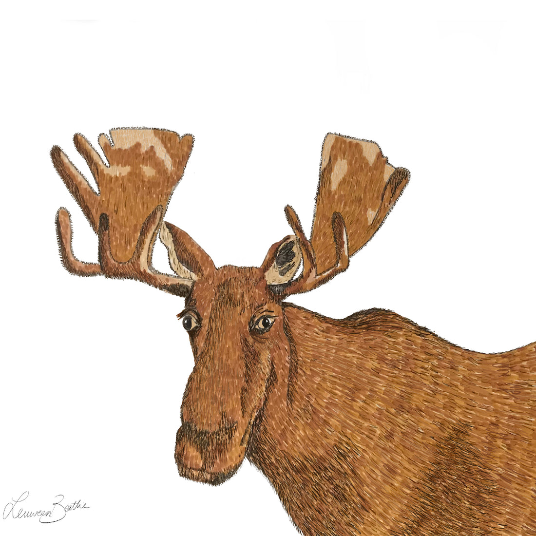 Mr Moose, Illustration – Leuween Beattie Illustrations